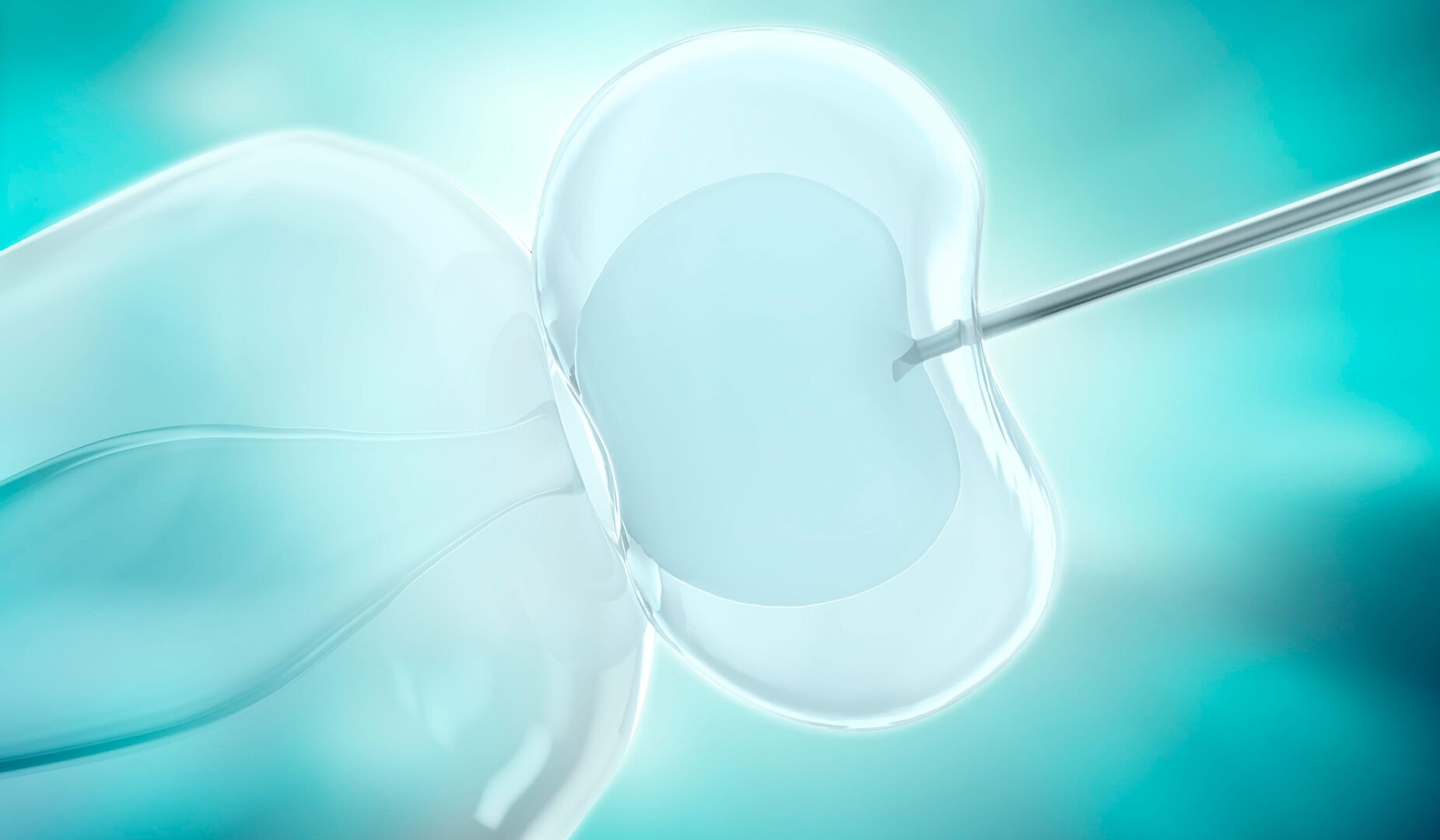 Frozen Embryo Transfer Protocols: Which one is best? - Reproductive ...