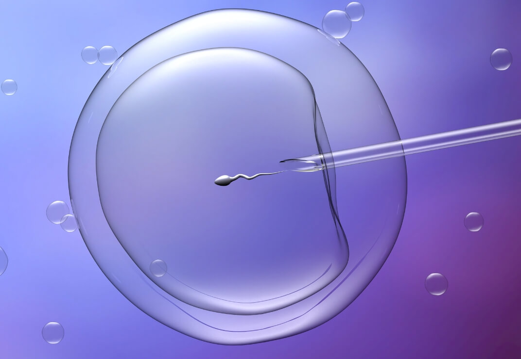 Personalized Fertility Treatment Options From An Experienced Team