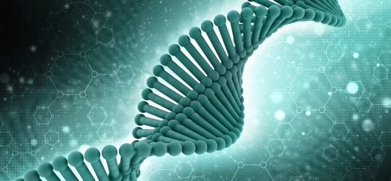 Pre-implantation Genetic Testing: The Process and Benefits